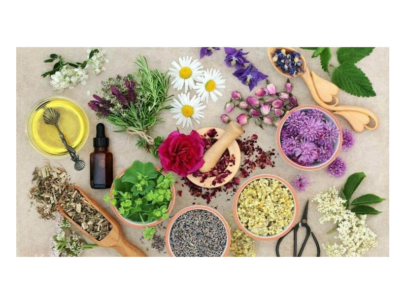 Atelier L'énergie des plantes - Montagnes de Normandie